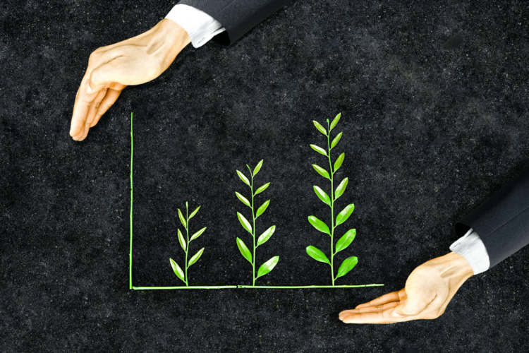 Vacancies Career Sigma Software