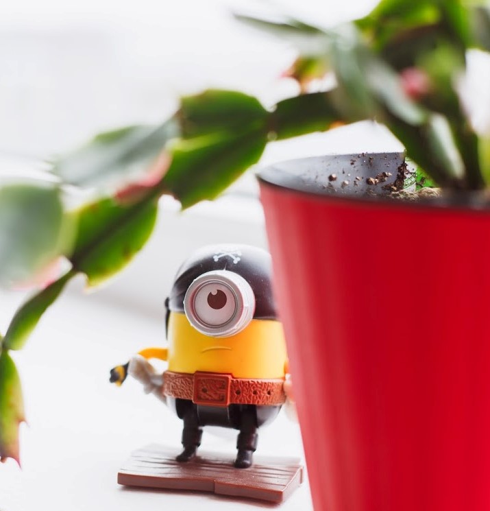 Refer a Friend - Career Sigma Software